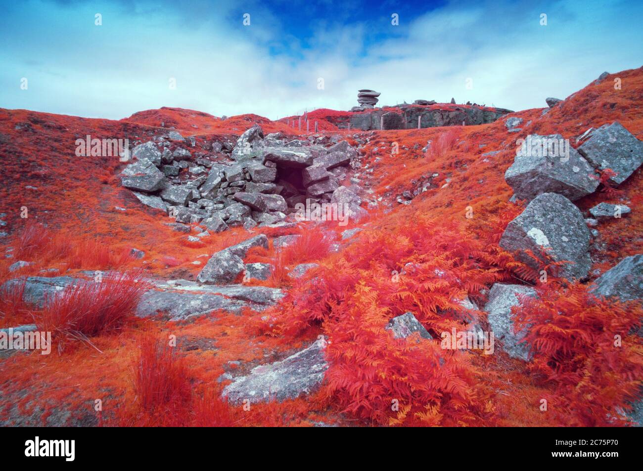 Gumbs High Resolution Stock Photography and Images - Alamy