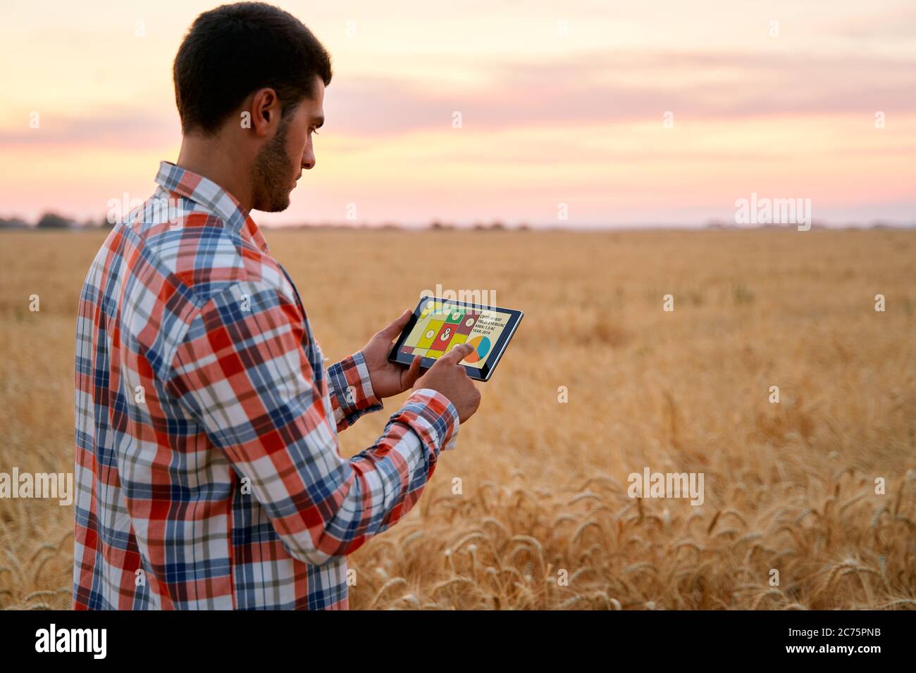 Precision farming. Farmer holds tablet using online data management ...
