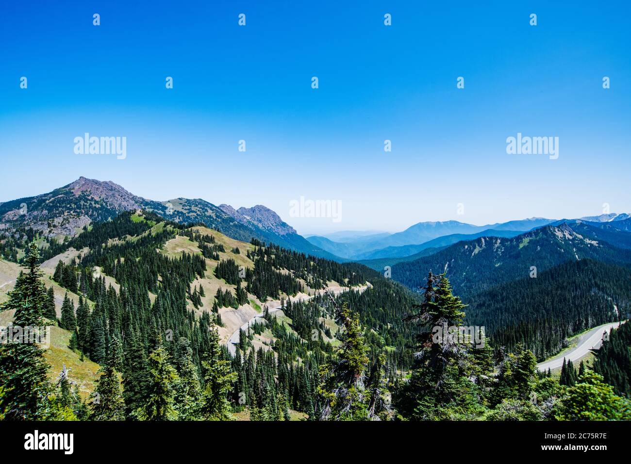 landscape in the mountains of Olympic Peninsula National Park ...