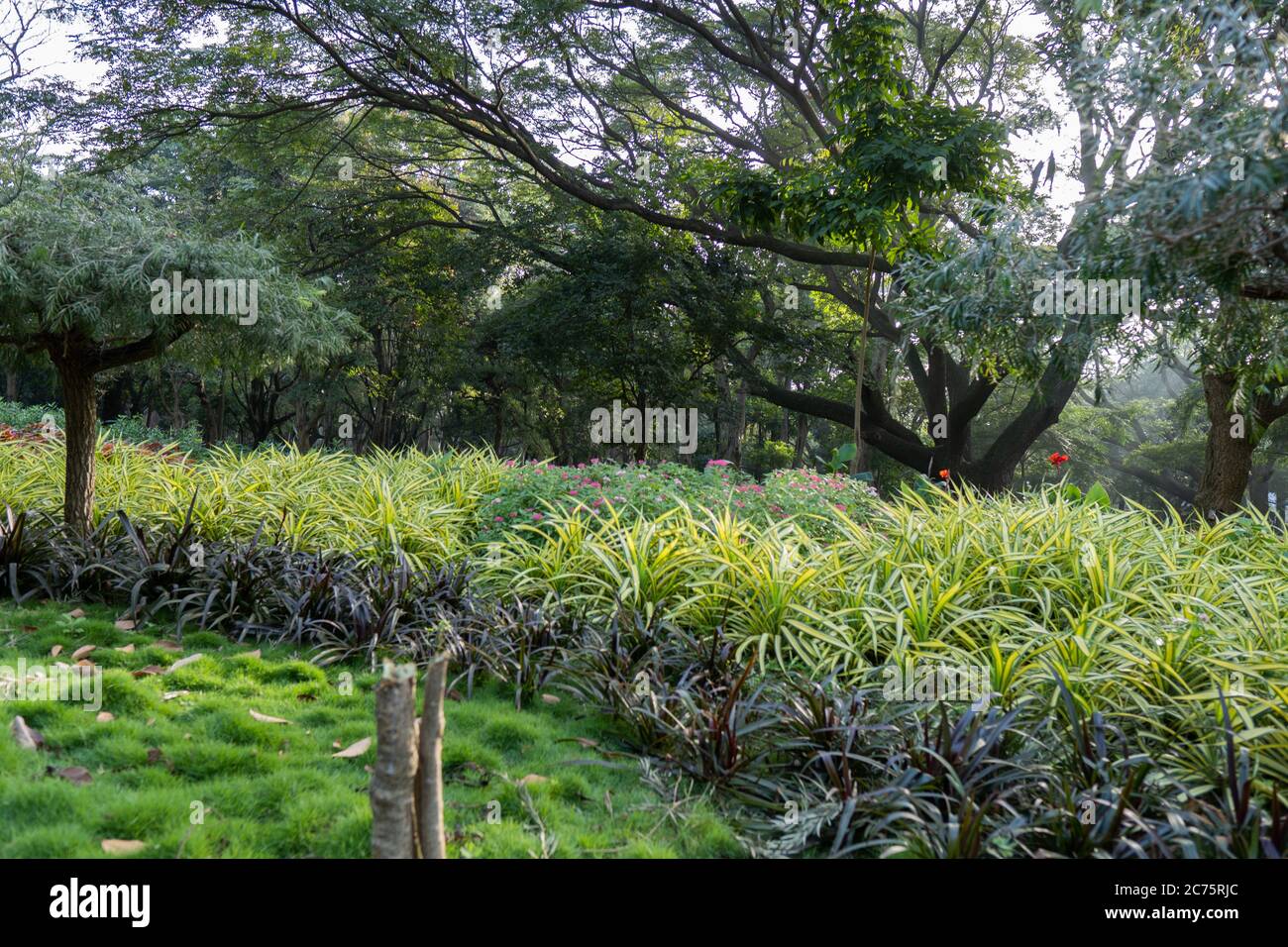 One many colourful trees hi-res stock photography and images - Alamy