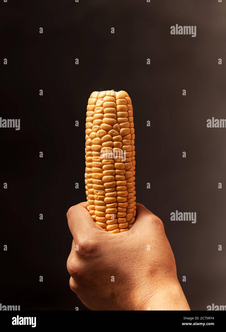 Sweet fresh corn in hand on black background Stock Photo - Alamy