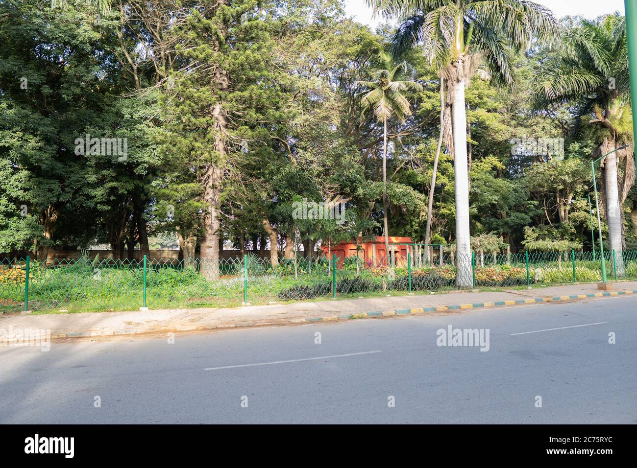 Cubbon park road in the morning with sunrise on it Stock Photo - Alamy