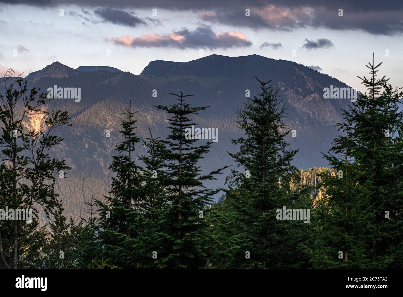 scenic view of woods and mountains in Bavaria, Germany Stock Photo - Alamy