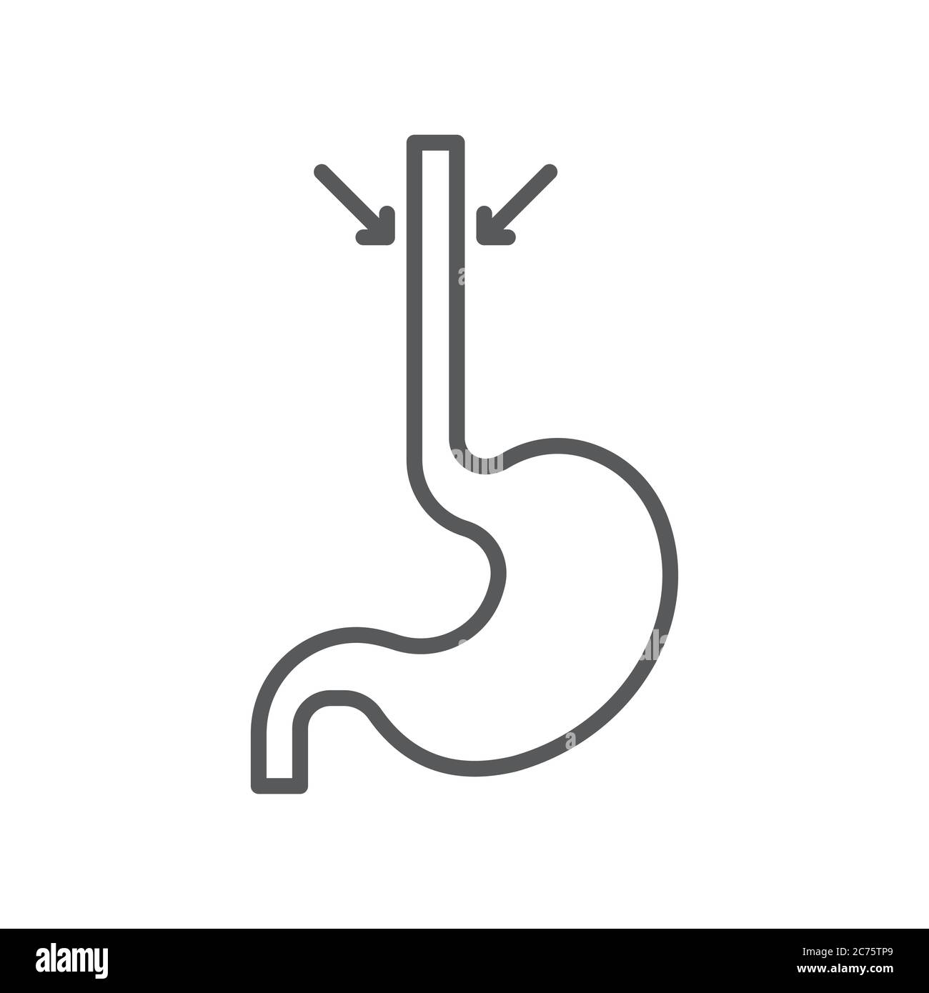 Esophagus vector icon symbol anatomy isolated on white background Stock ...