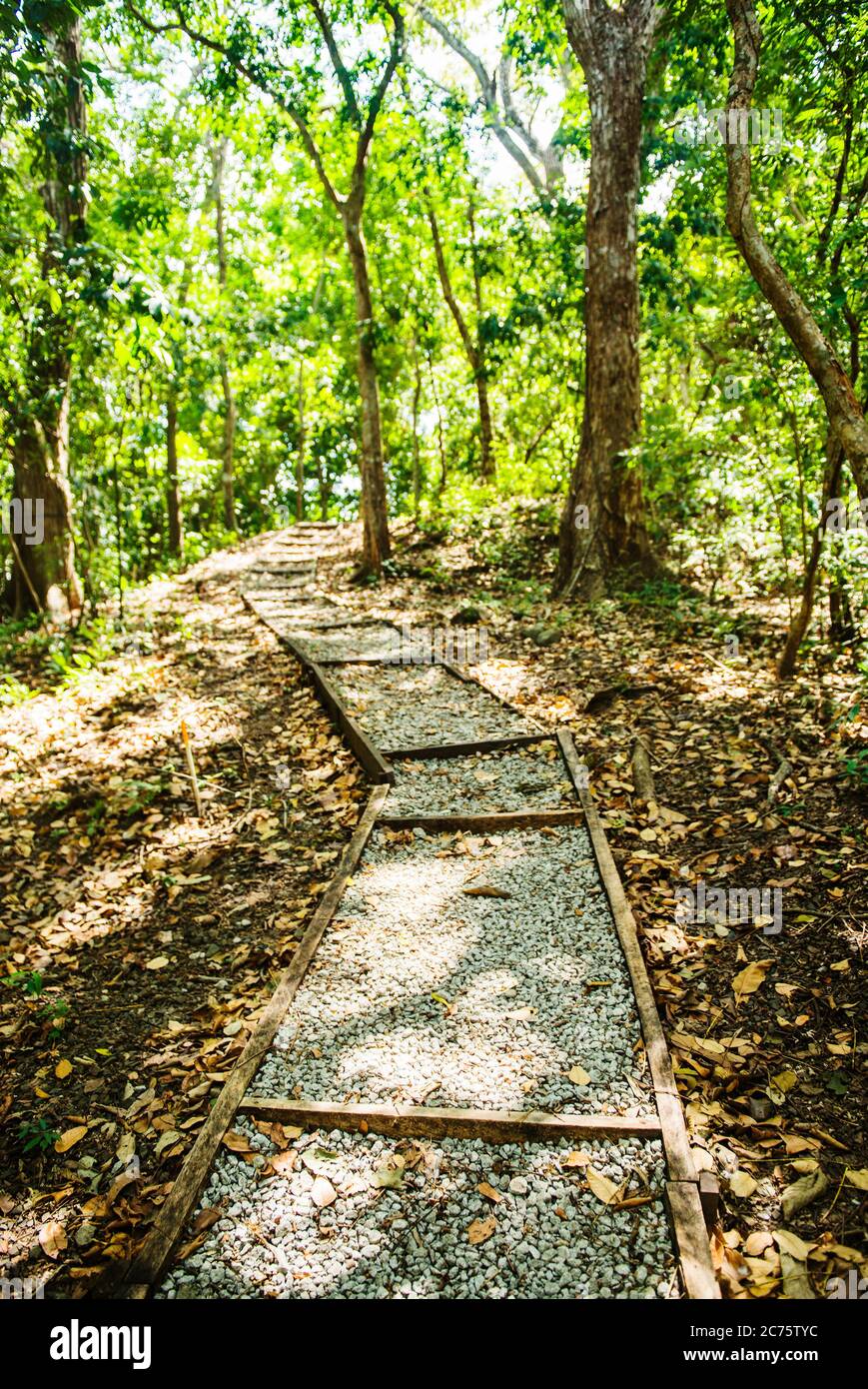 Panama city pathway hi-res stock photography and images - Alamy