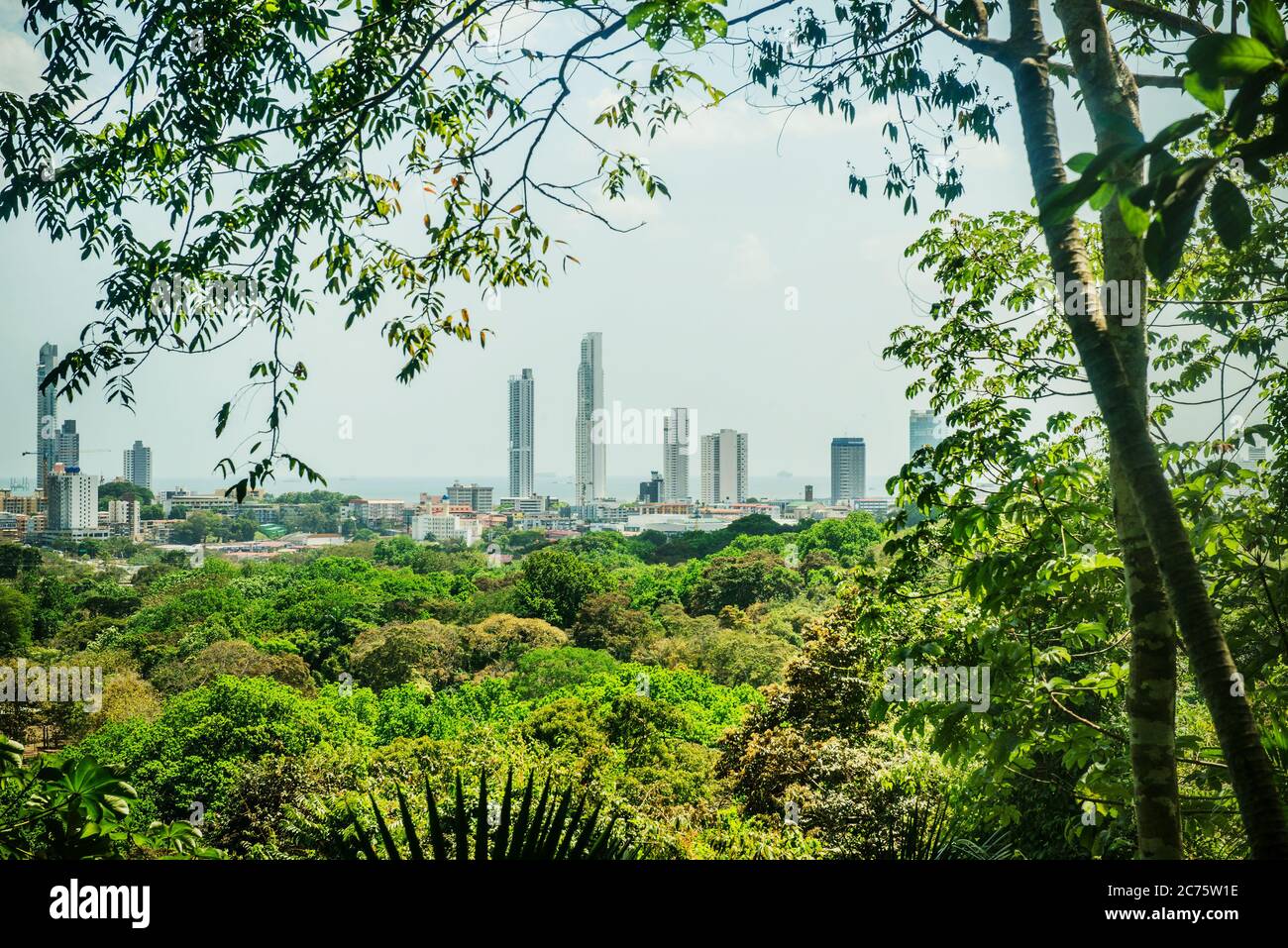 Metropolitan nature park panama hi-res stock photography and images - Alamy