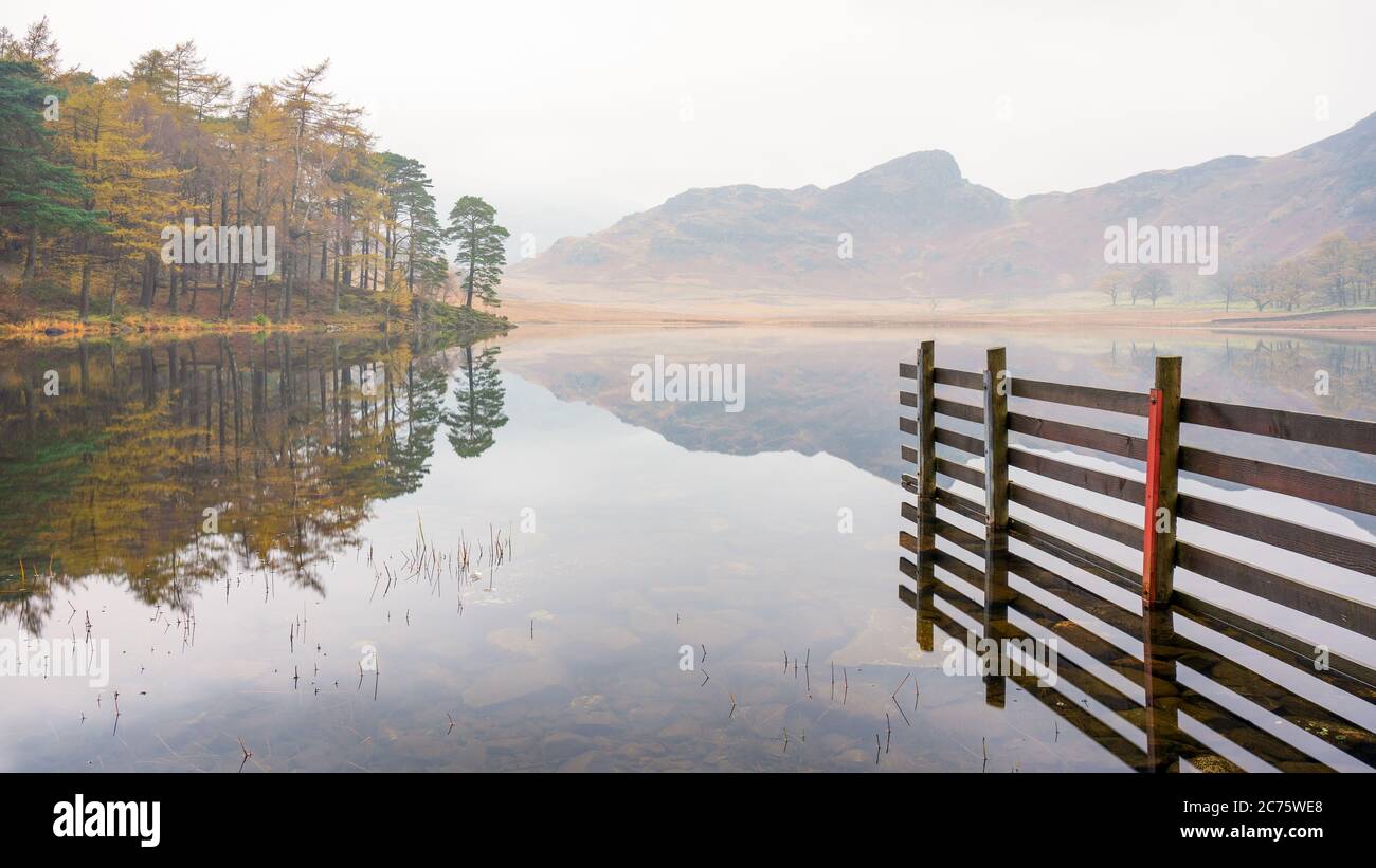 A calm, peaceful autumn morning at Blea Tarn in the English Lake ...