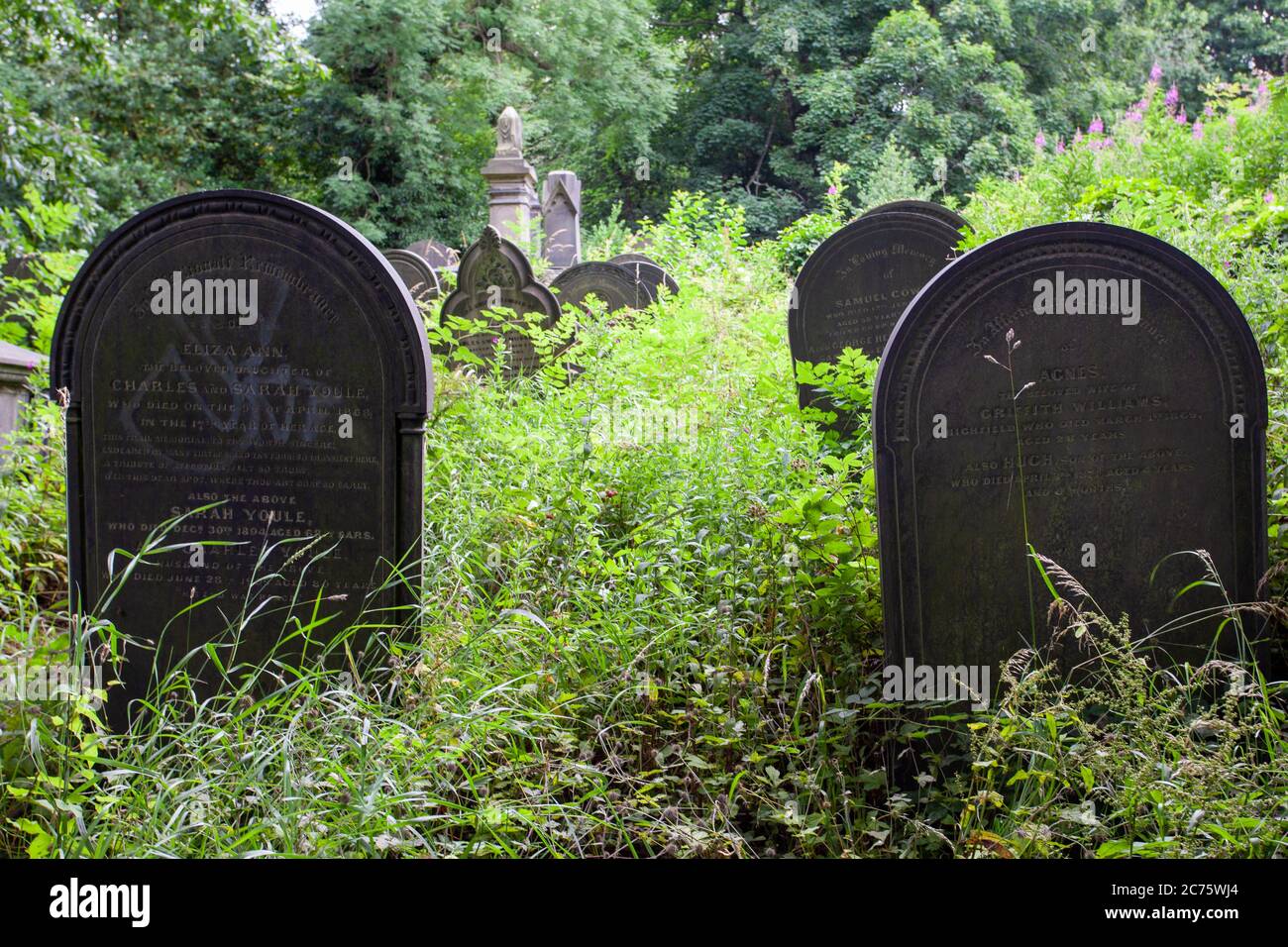 Sheffield general cemetery hi-res stock photography and images - Alamy