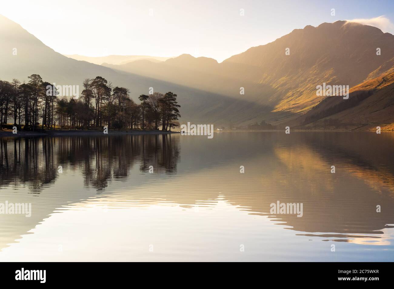 Head on pike hi-res stock photography and images - Alamy