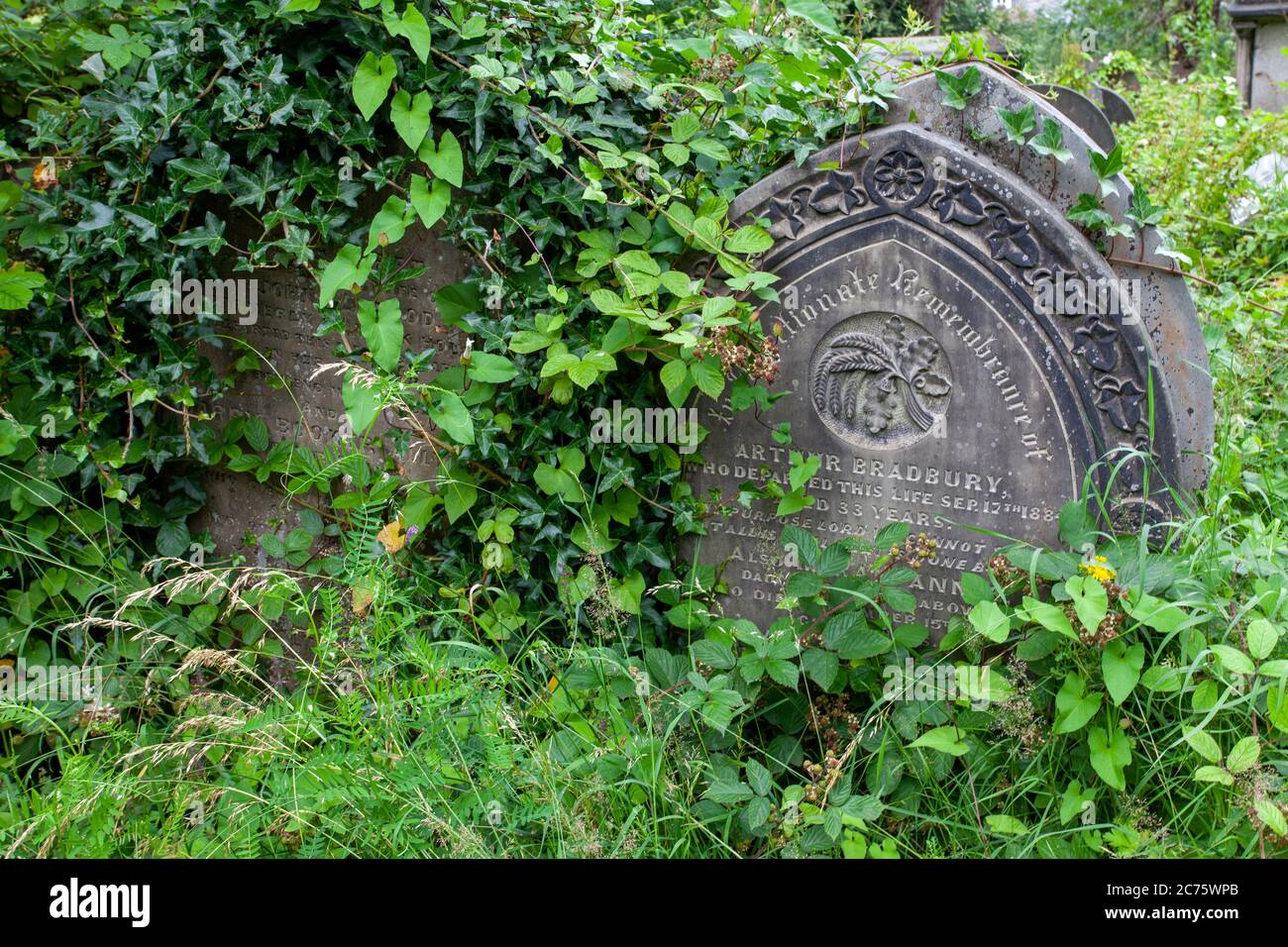 Sheffield General Cemetery is an old disused cemetery containing many graves of Sheffield's ...