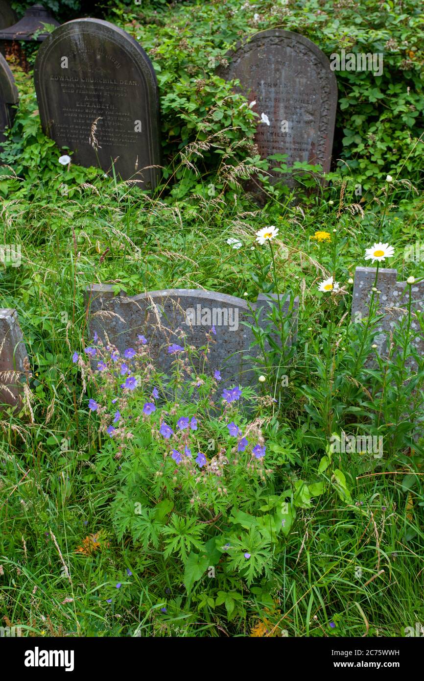 Sheffield general cemetery hi-res stock photography and images - Alamy