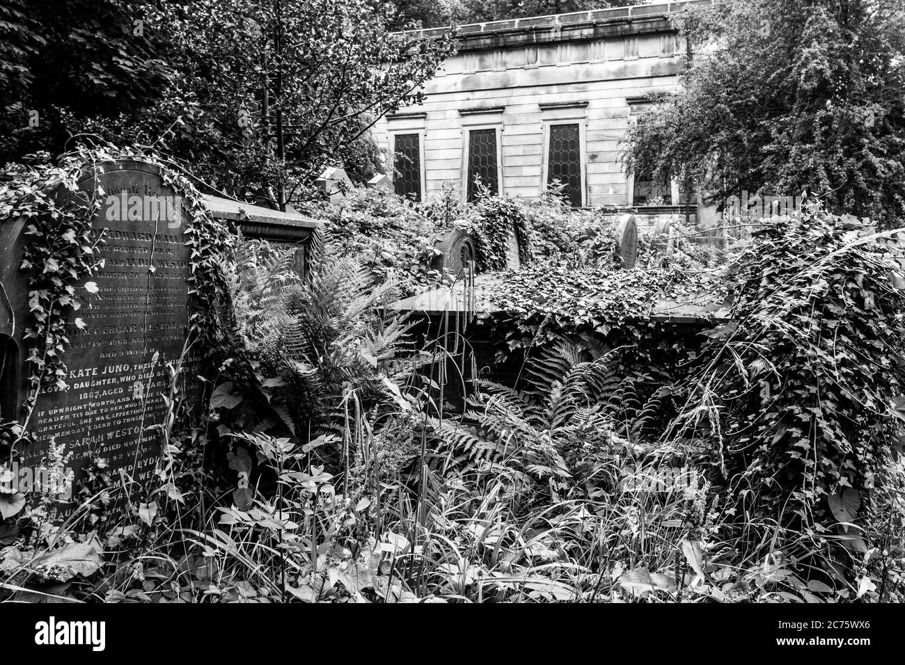 Sheffield General Cemetery is an old disused cemetery containing many graves of Sheffield's ...