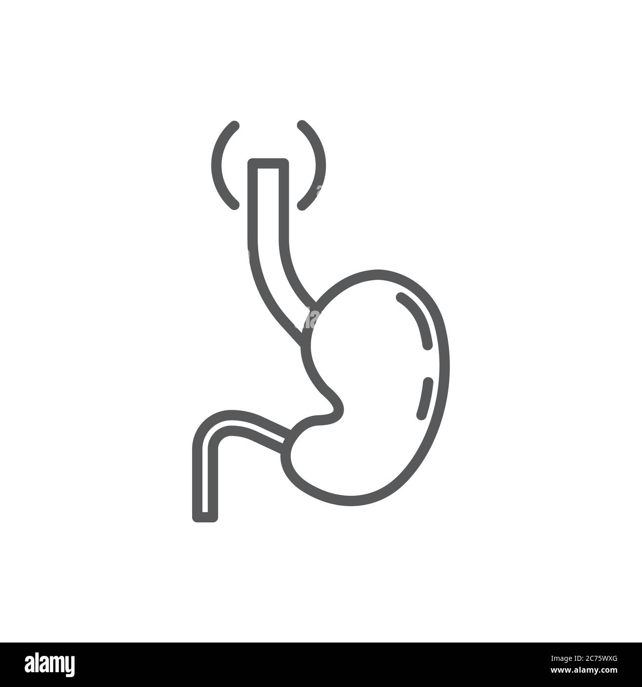 Esophagus vector icon symbol anatomy isolated on white background Stock ...