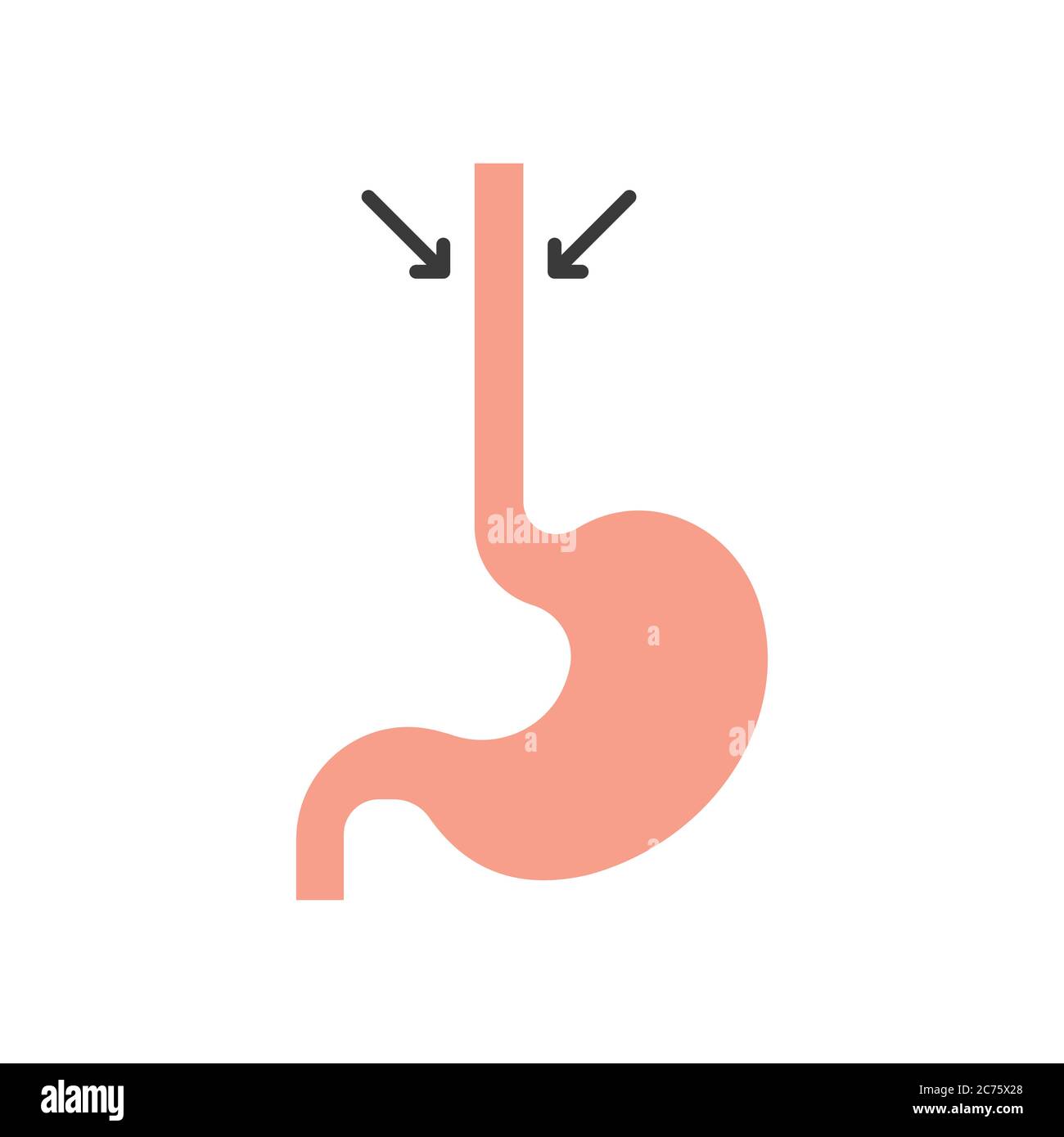 Esophagus vector icon symbol anatomy isolated on white background Stock ...