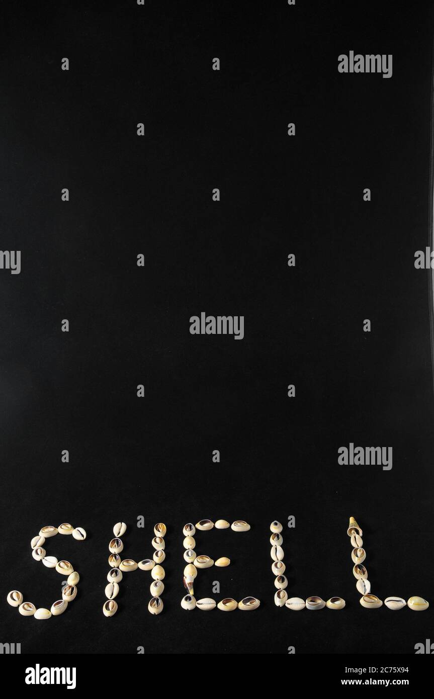 The Word Shell Made of Sea Shells and Black Background Stock Photo - Alamy
