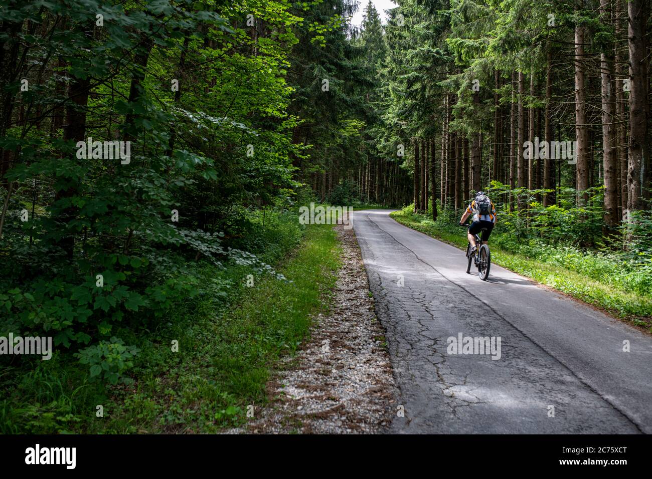 Forrest bikes hi-res stock photography and images - Alamy
