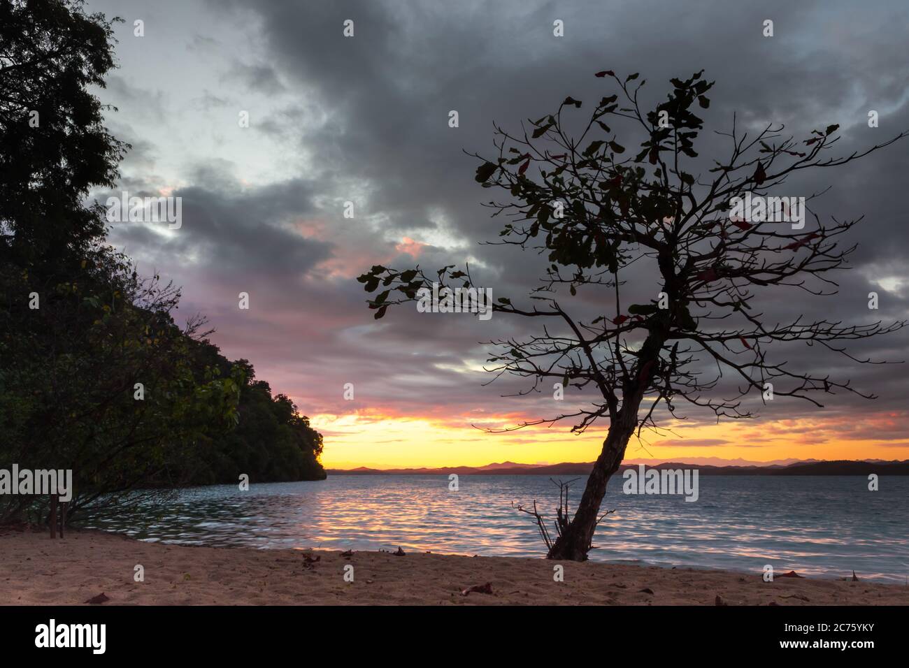 View of the Madagascar Island coastline, lined trees and boats floating ...