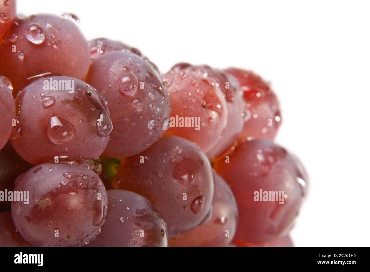 Grapes with rain drops hi-res stock photography and images - Alamy
