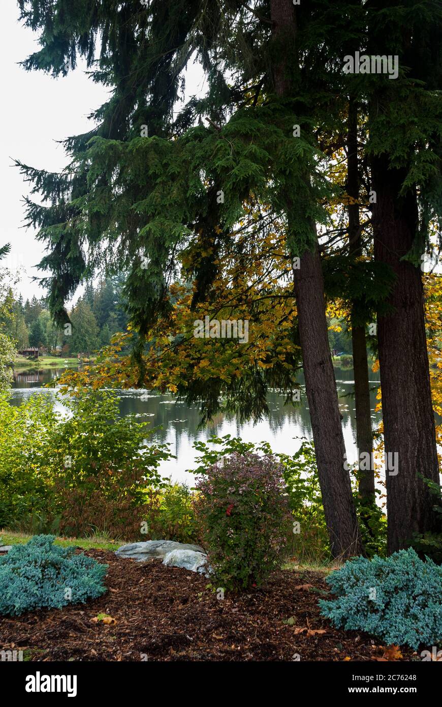 View of lake through trees in Granite Falls, Washington Stock Photo - Alamy