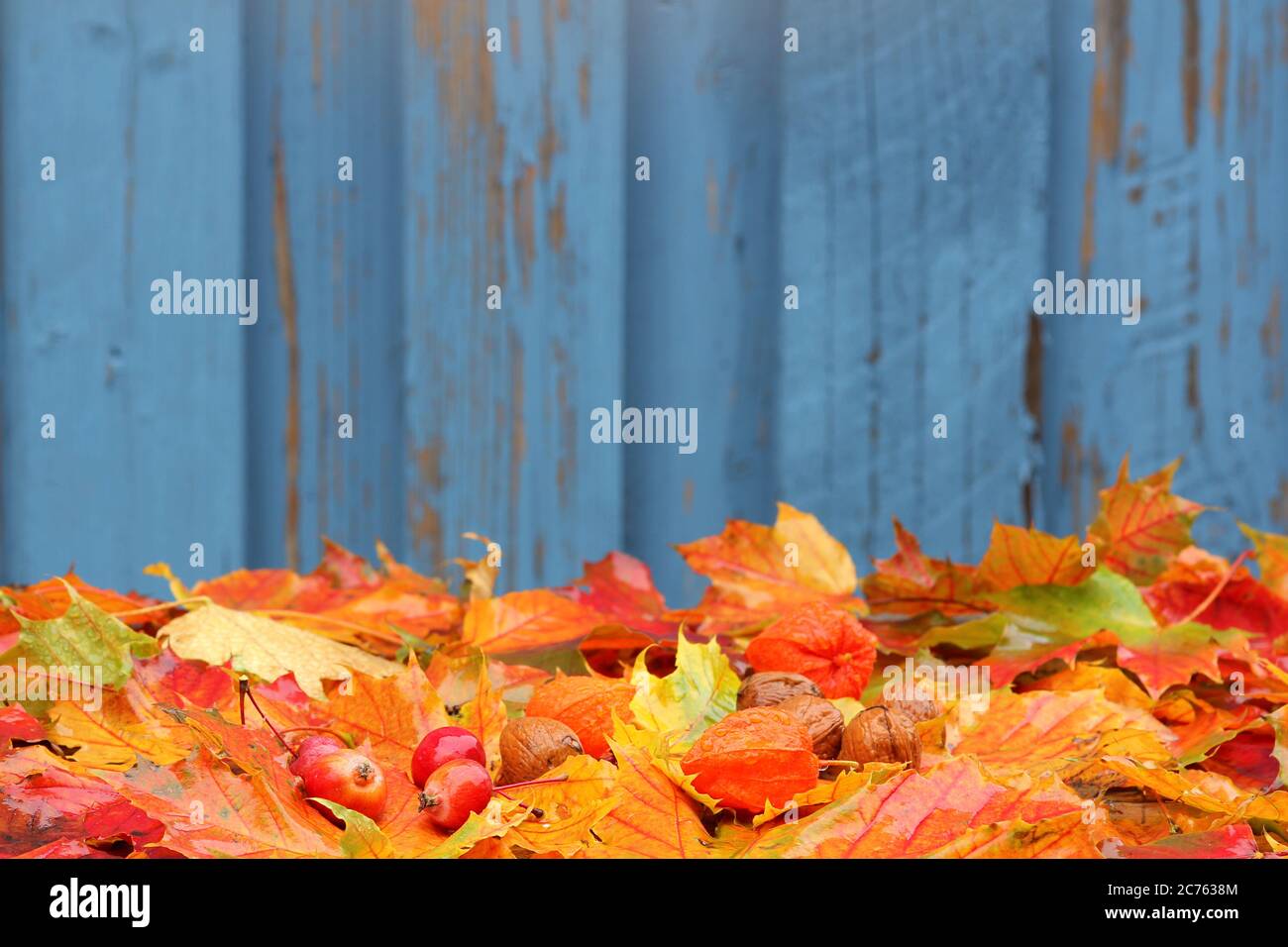 Foliage colored background hi-res stock photography and images - Alamy