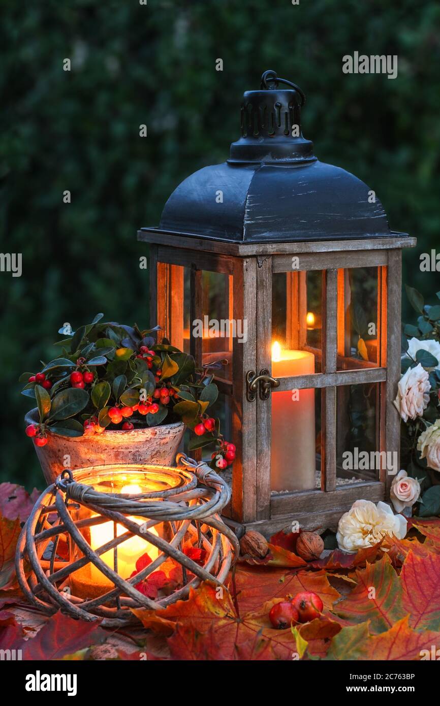 Lights in the evening with foliage Stock Photo - Alamy