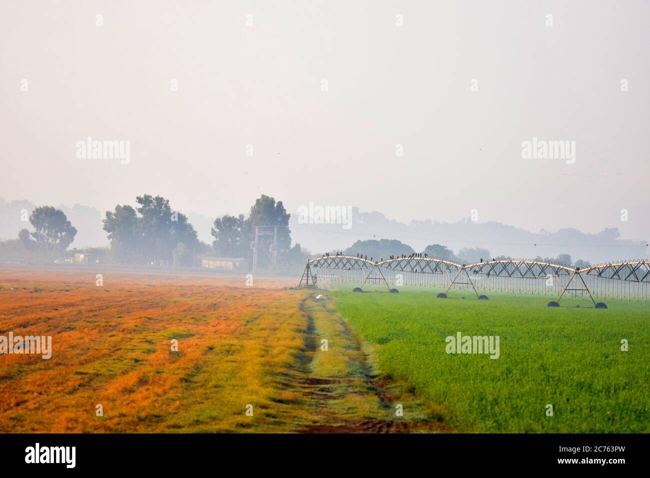 Two colors hi-res stock photography and images - Alamy