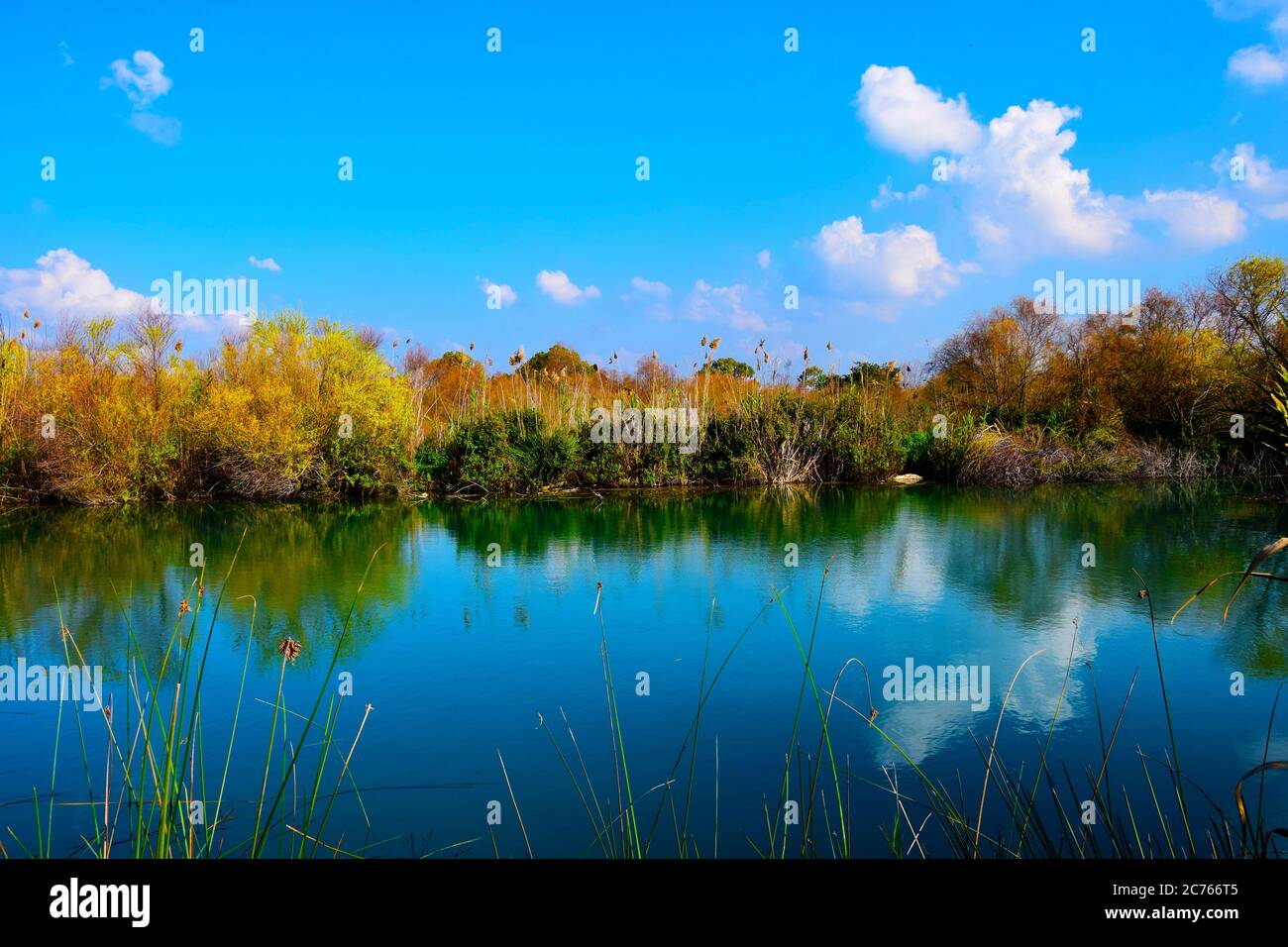 Afek hi-res stock photography and images - Alamy