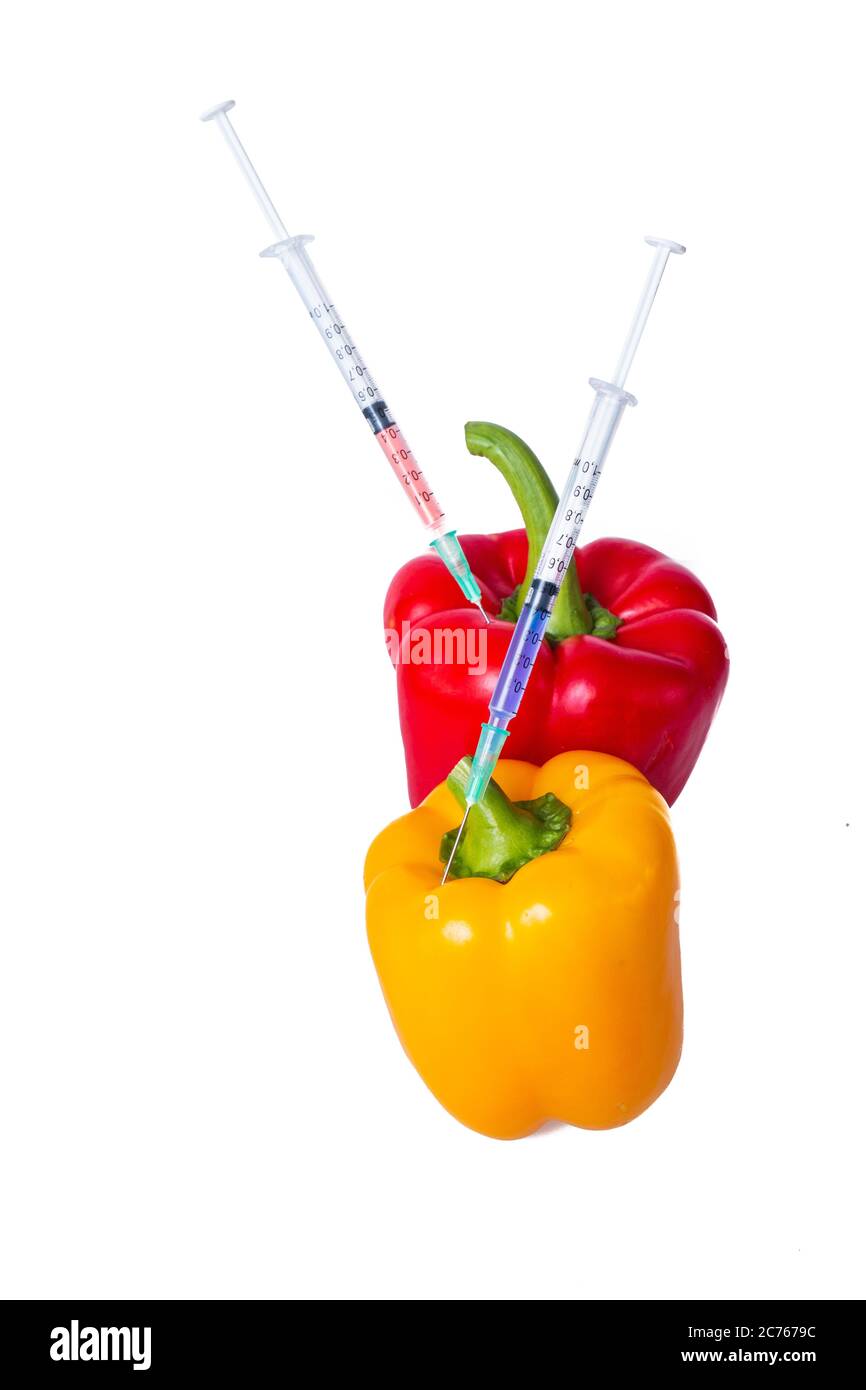 Genetically modified vegetables. GMO food concept. Syringes are stuck ...