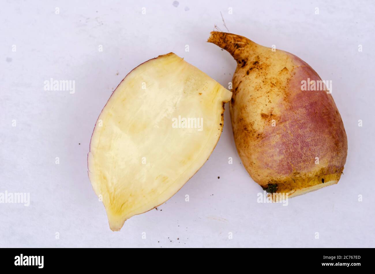 Turnip cross section hi-res stock photography and images - Alamy