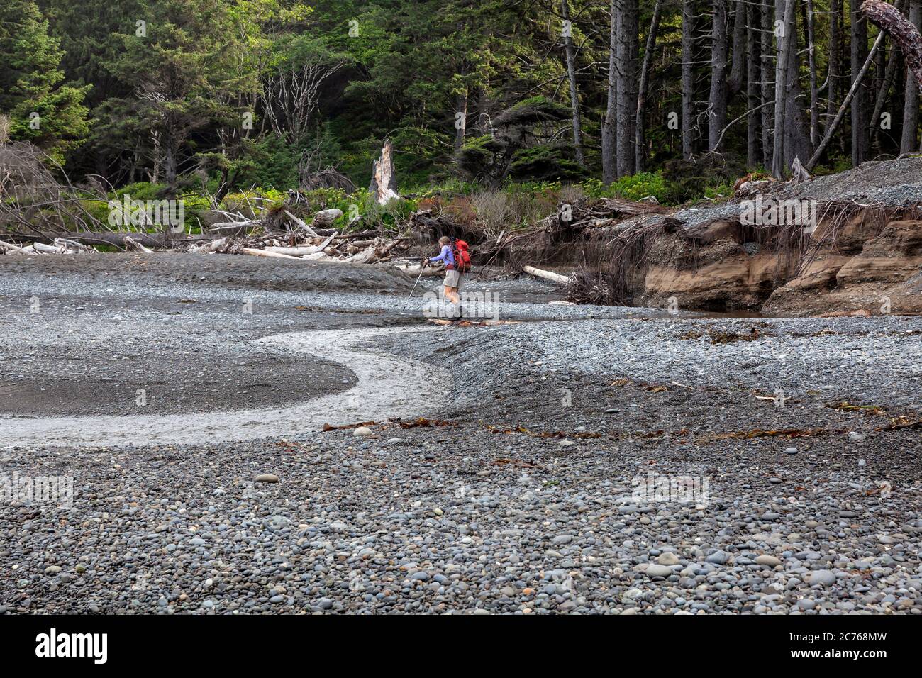 WA17479-00...WASHINGTON - Vicky Spring crossing Ellen Creek along ...
