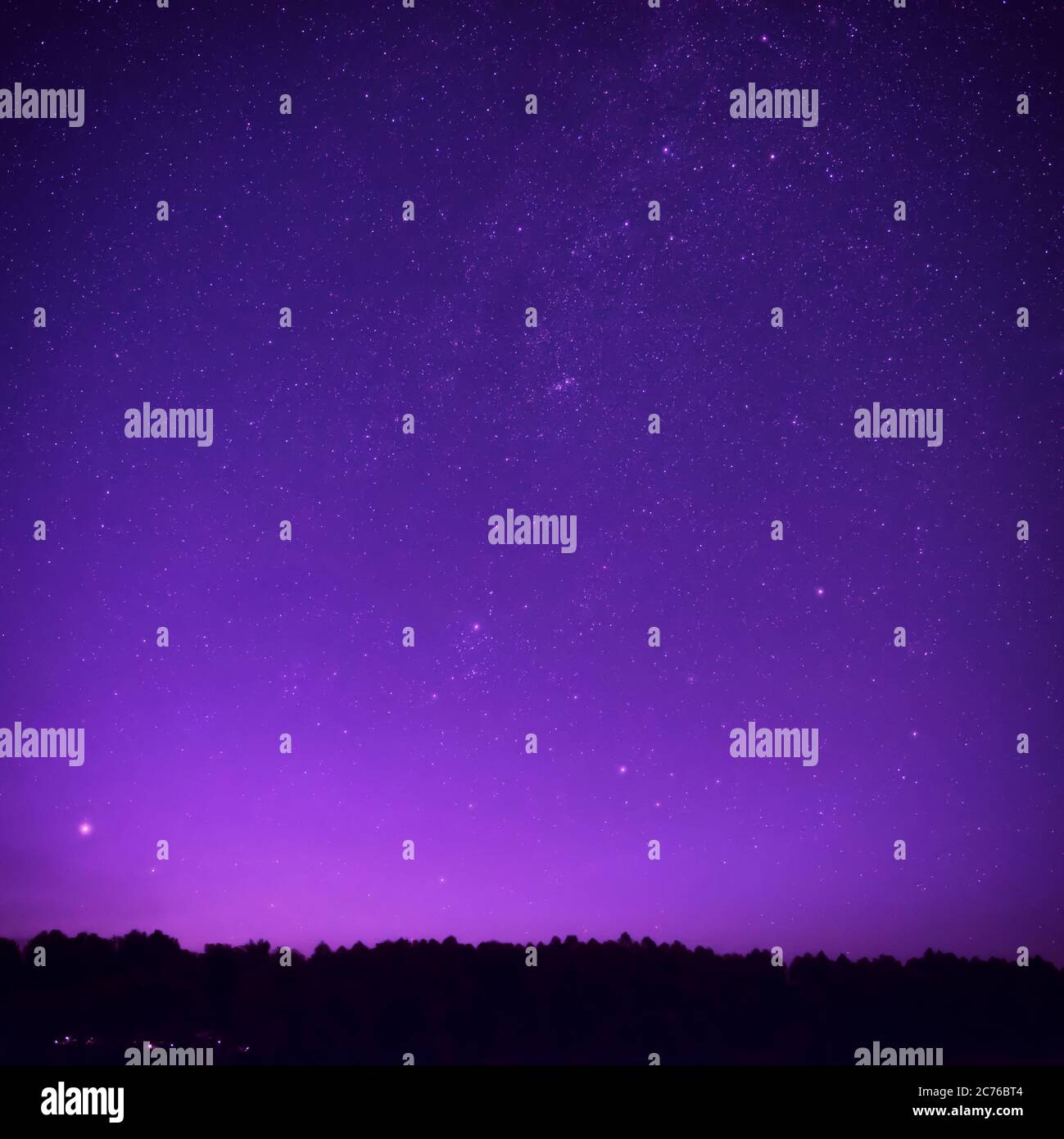 Beautiful purple night sky with many stars above the forest. Milkway ...