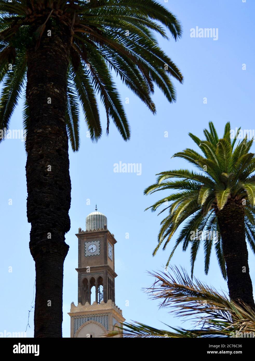 Urban palm trees in Morocco Stock Photo - Alamy