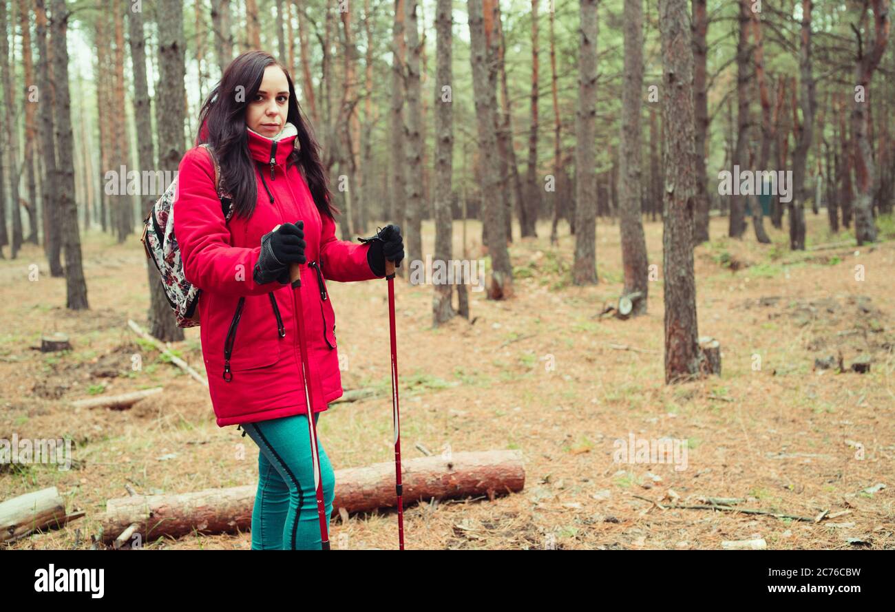 Woods nordic hi-res stock photography and images - Alamy