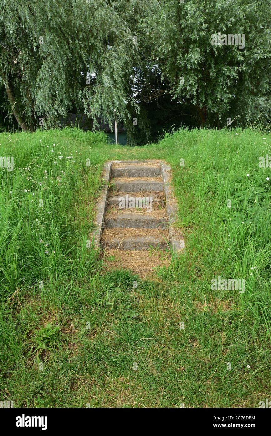 Concrete stairs on the embankment overgrown with grass. Summer Stock ...