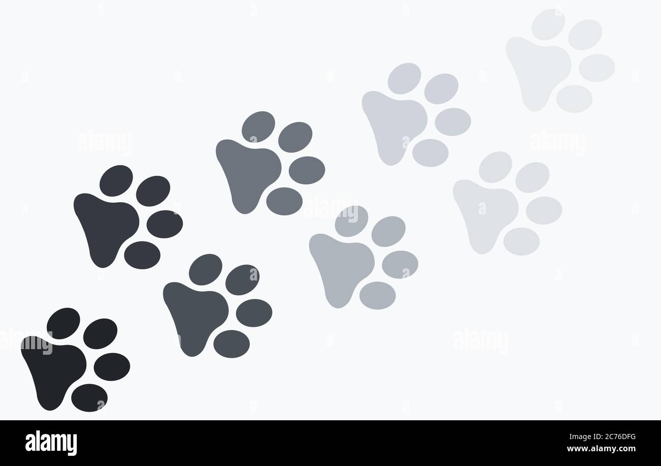 Paw print foot trail. Dog, cat paw print. Vector Stock Vector Image ...