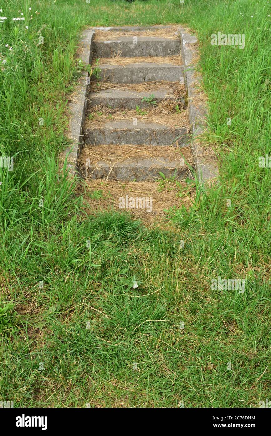 Concrete stairs on the embankment overgrown with grass. Summer Stock ...