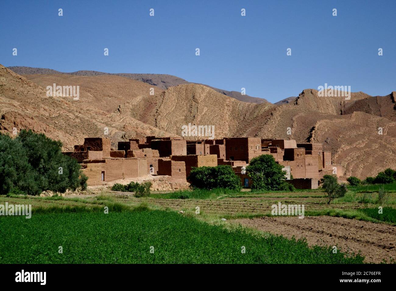 Traditional moroccan architecture hi-res stock photography and images ...