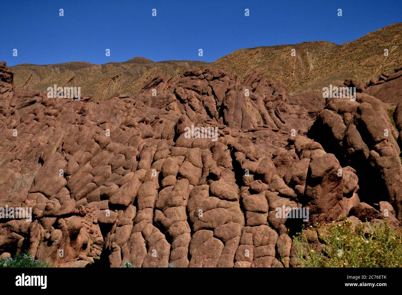 Doigts de singe hi-res stock photography and images - Alamy