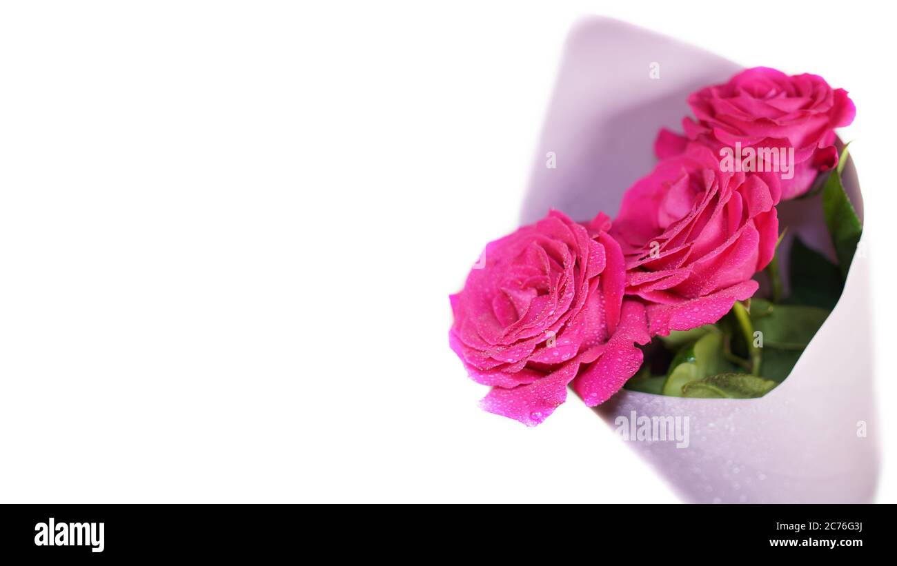 Bouquet of flowers from pink roses with drops of water on gray ...