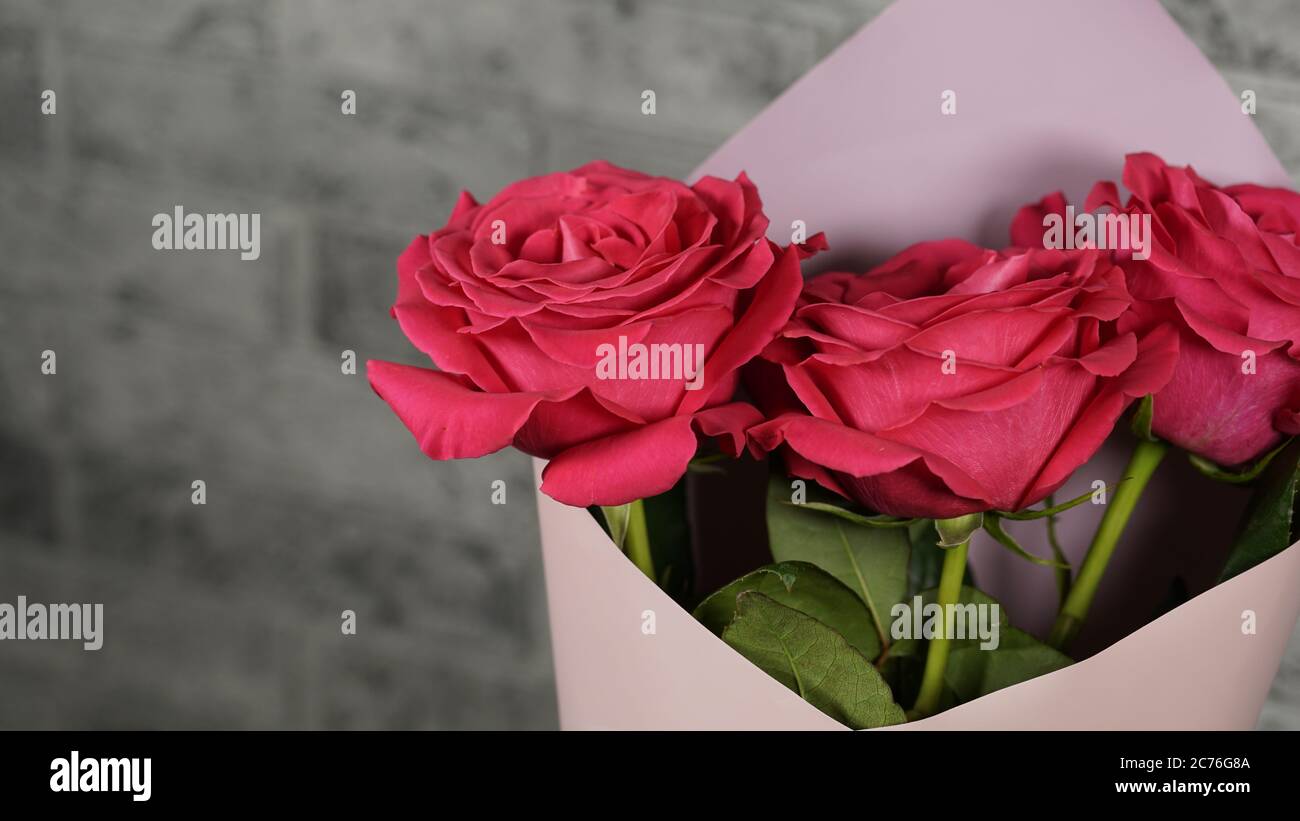 Bouquet of flowers from pink roses on gray background. Three big and ...