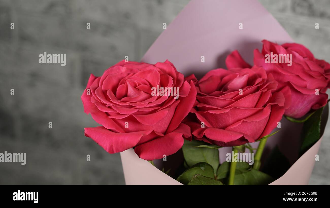 Bouquet of flowers from pink roses on gray background. Three big and ...