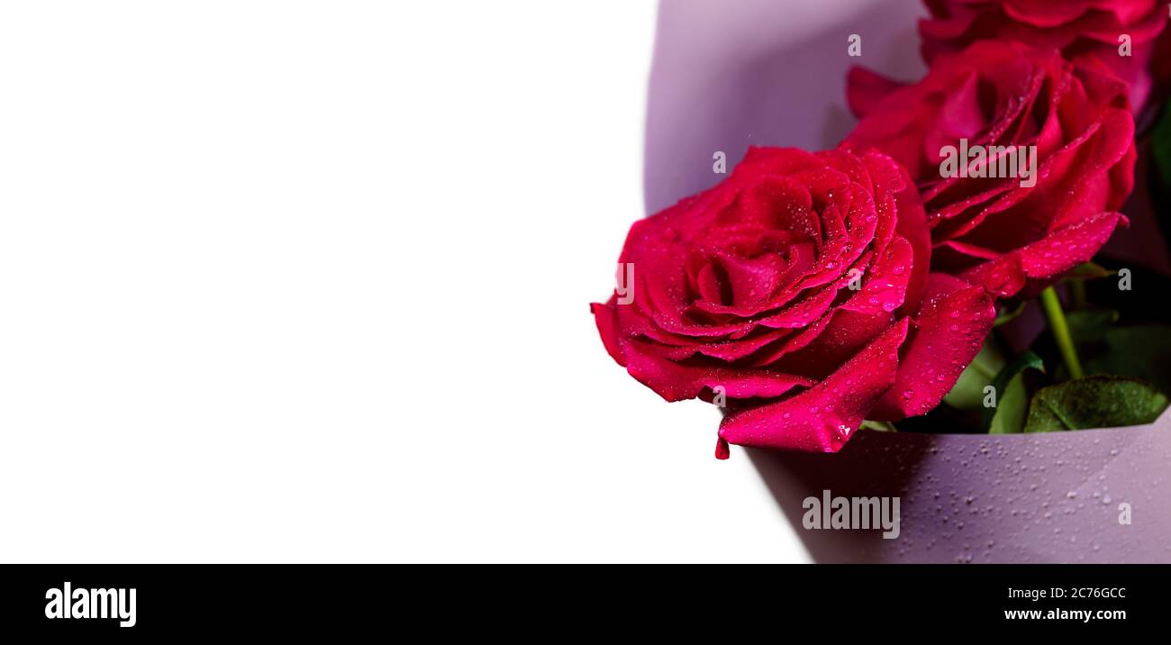 Bouquet of flowers from pink roses with drops of water on gray ...