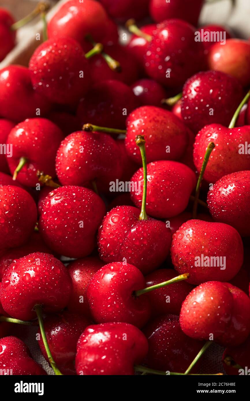 Raw Red Organic Cherries Ready to Eat Stock Photo - Alamy