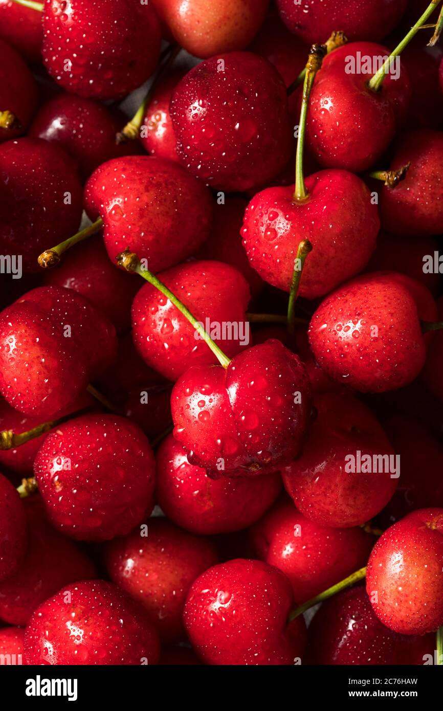 Raw Red Organic Cherries Ready to Eat Stock Photo - Alamy