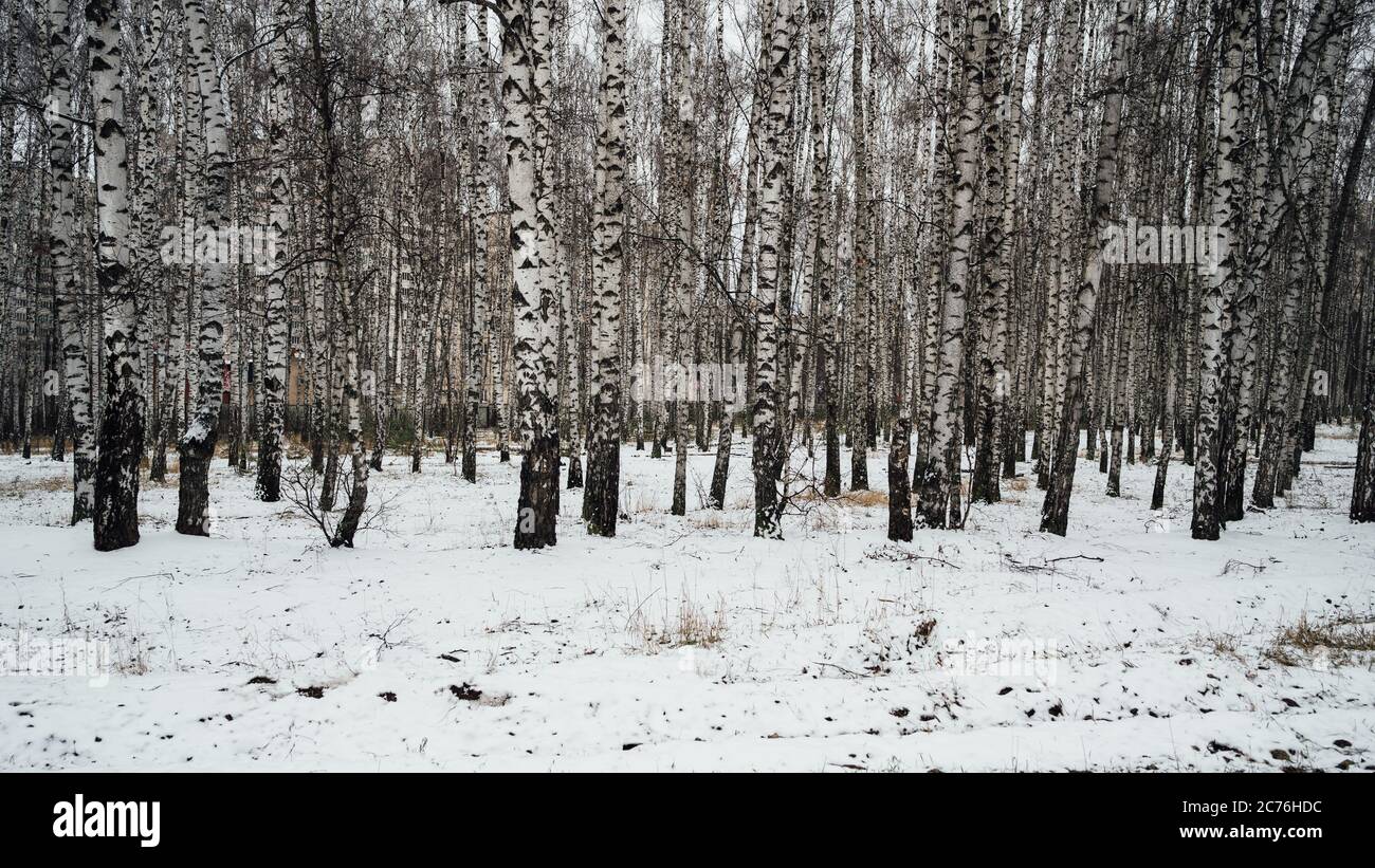 Beautiful grove hi-res stock photography and images - Alamy