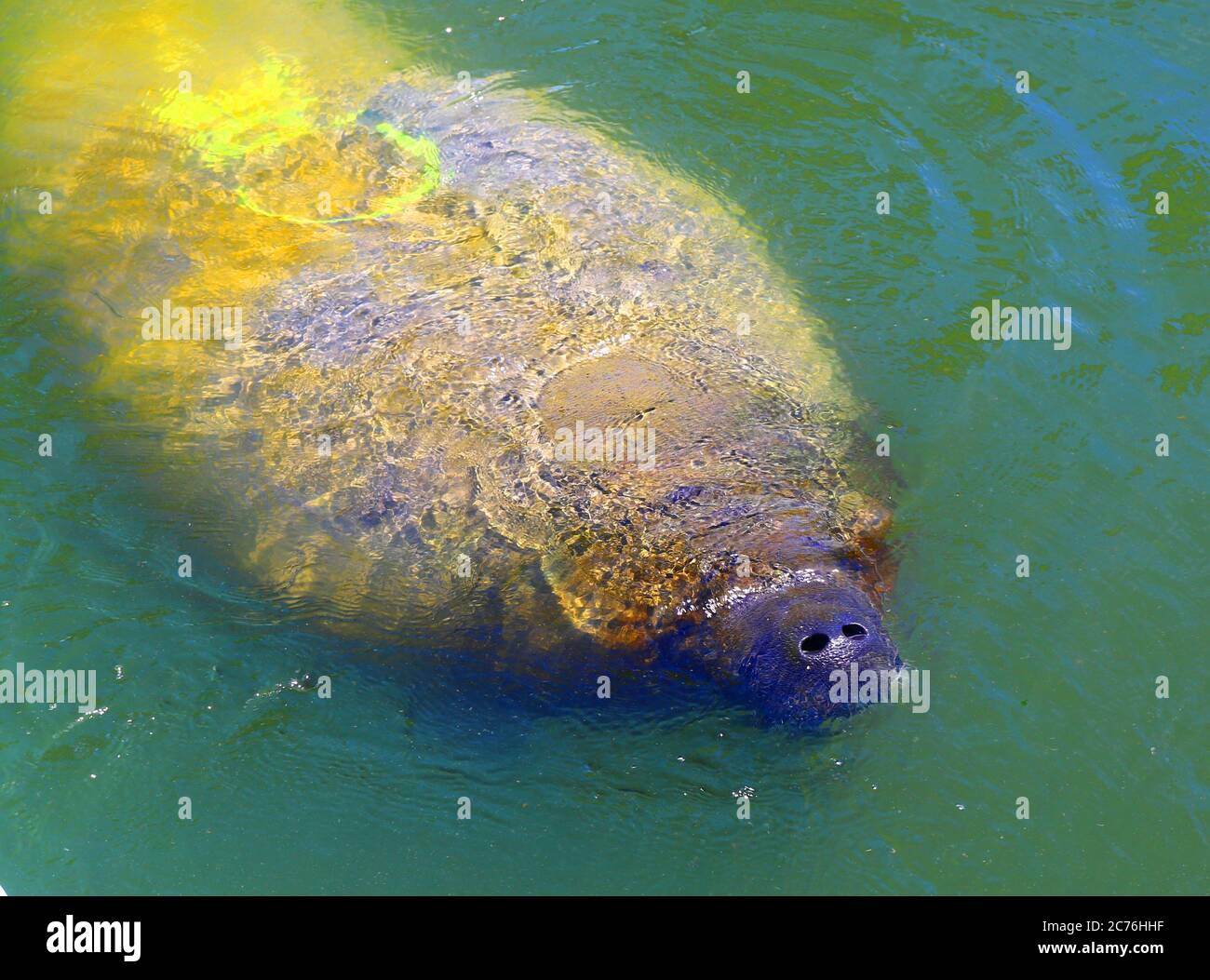 Ilha de itamaraca brazil hi-res stock photography and images - Alamy