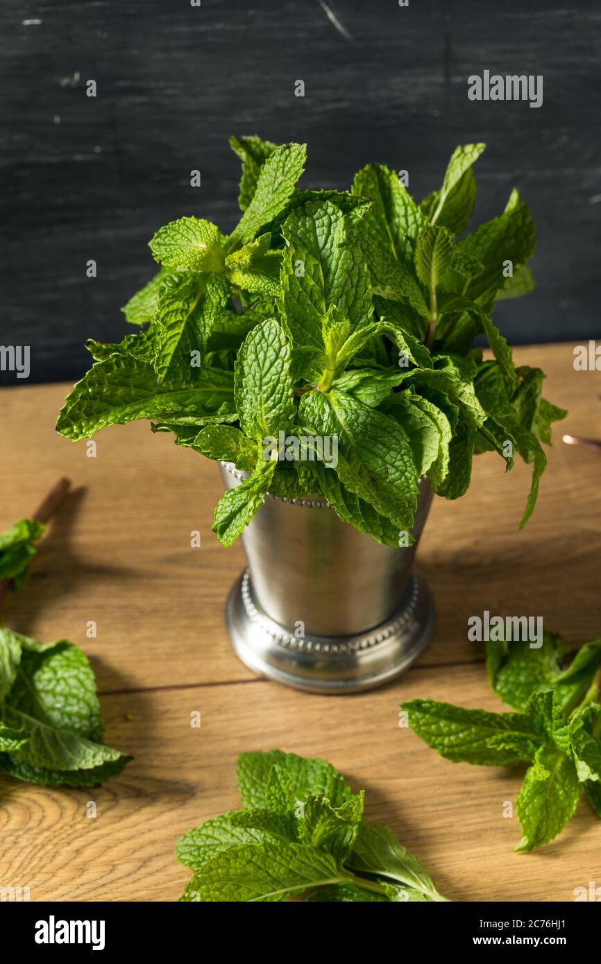 Raw Green Organic Fresh Mint in a Bunch Stock Photo - Alamy