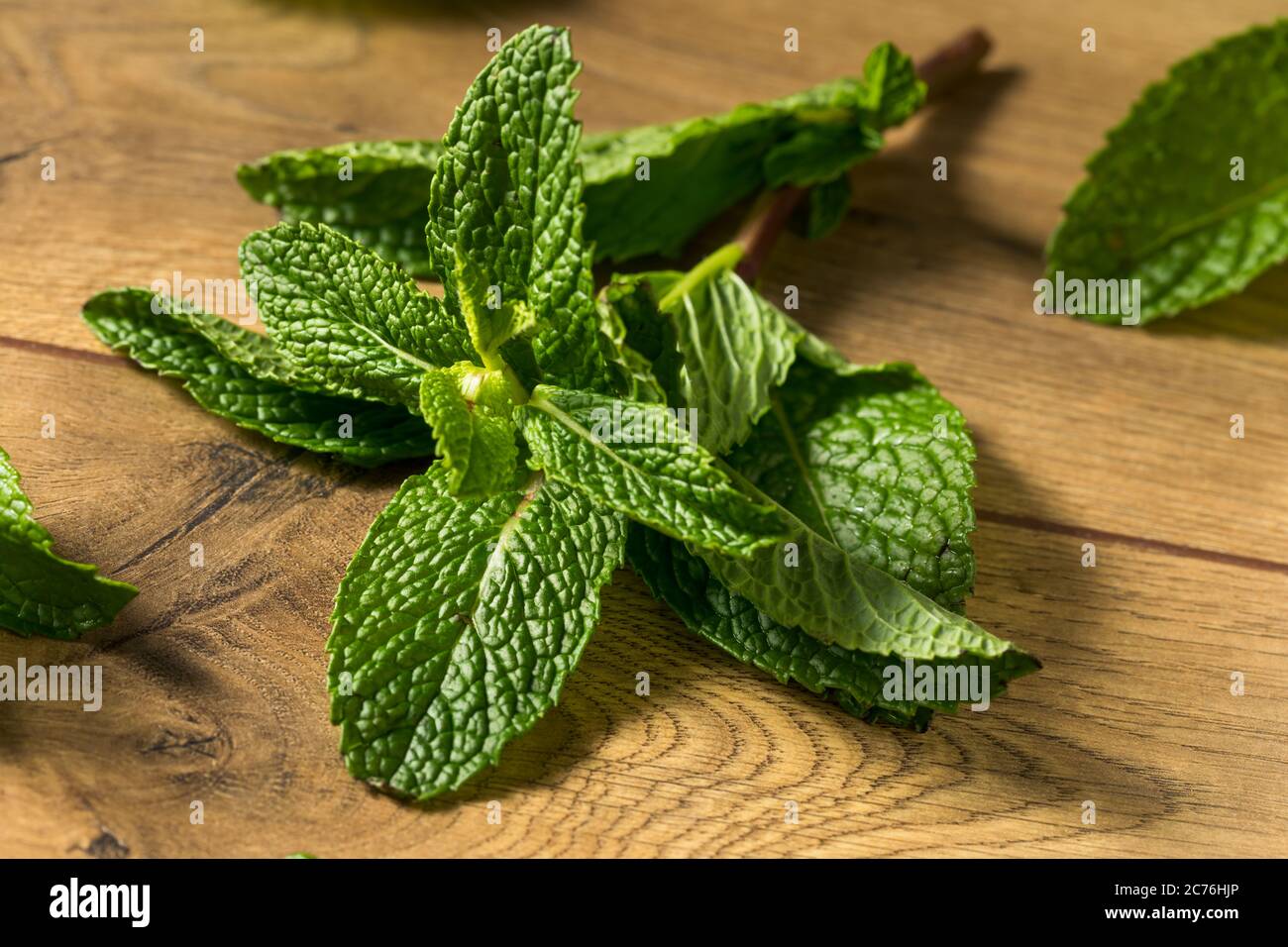 Raw Green Organic Fresh Mint in a Bunch Stock Photo - Alamy