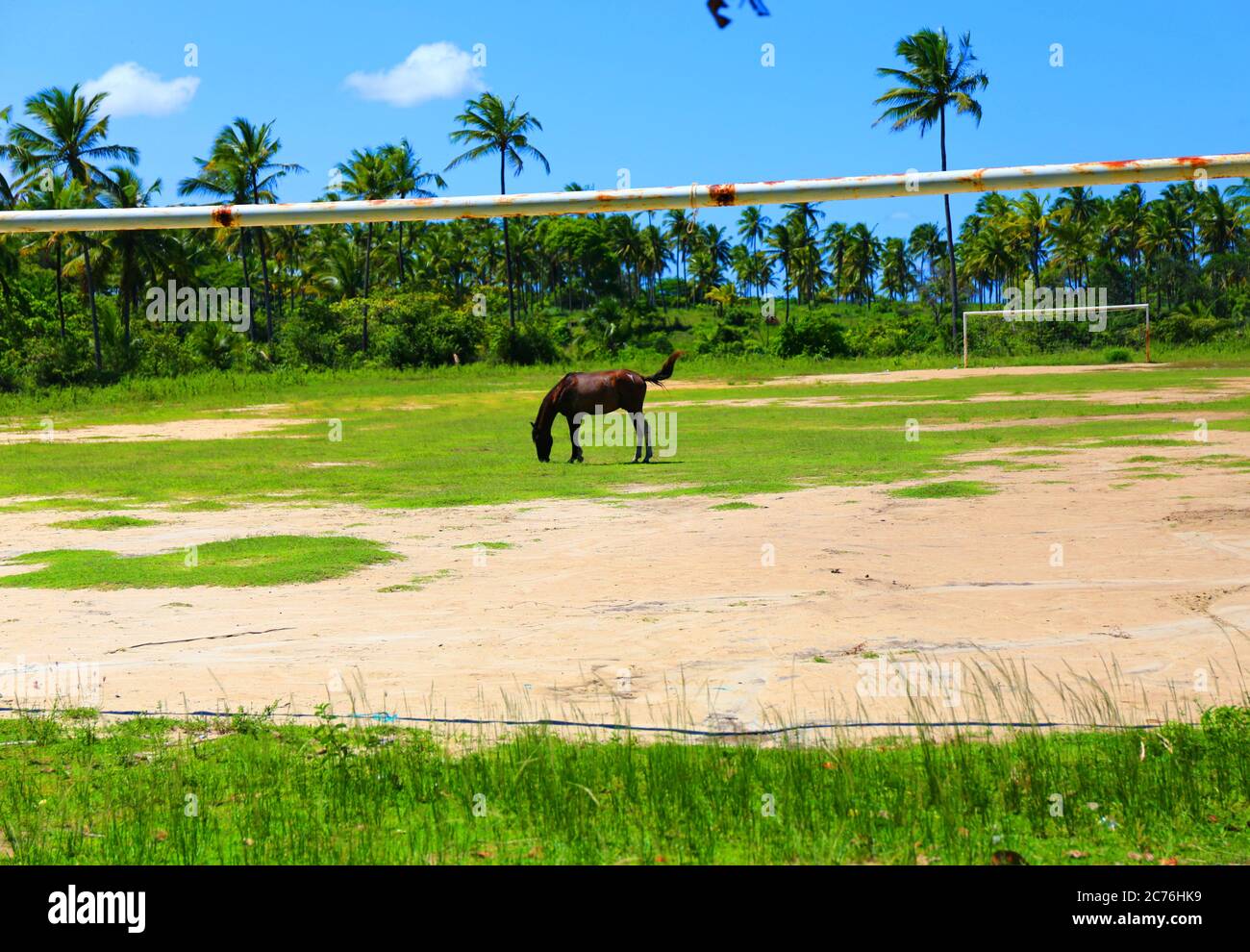 Ilha de itamaraca brazil hi-res stock photography and images - Alamy
