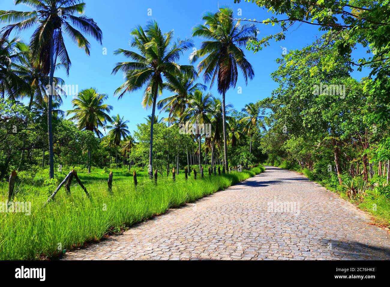 Ilha de itamaraca brazil hi-res stock photography and images - Alamy